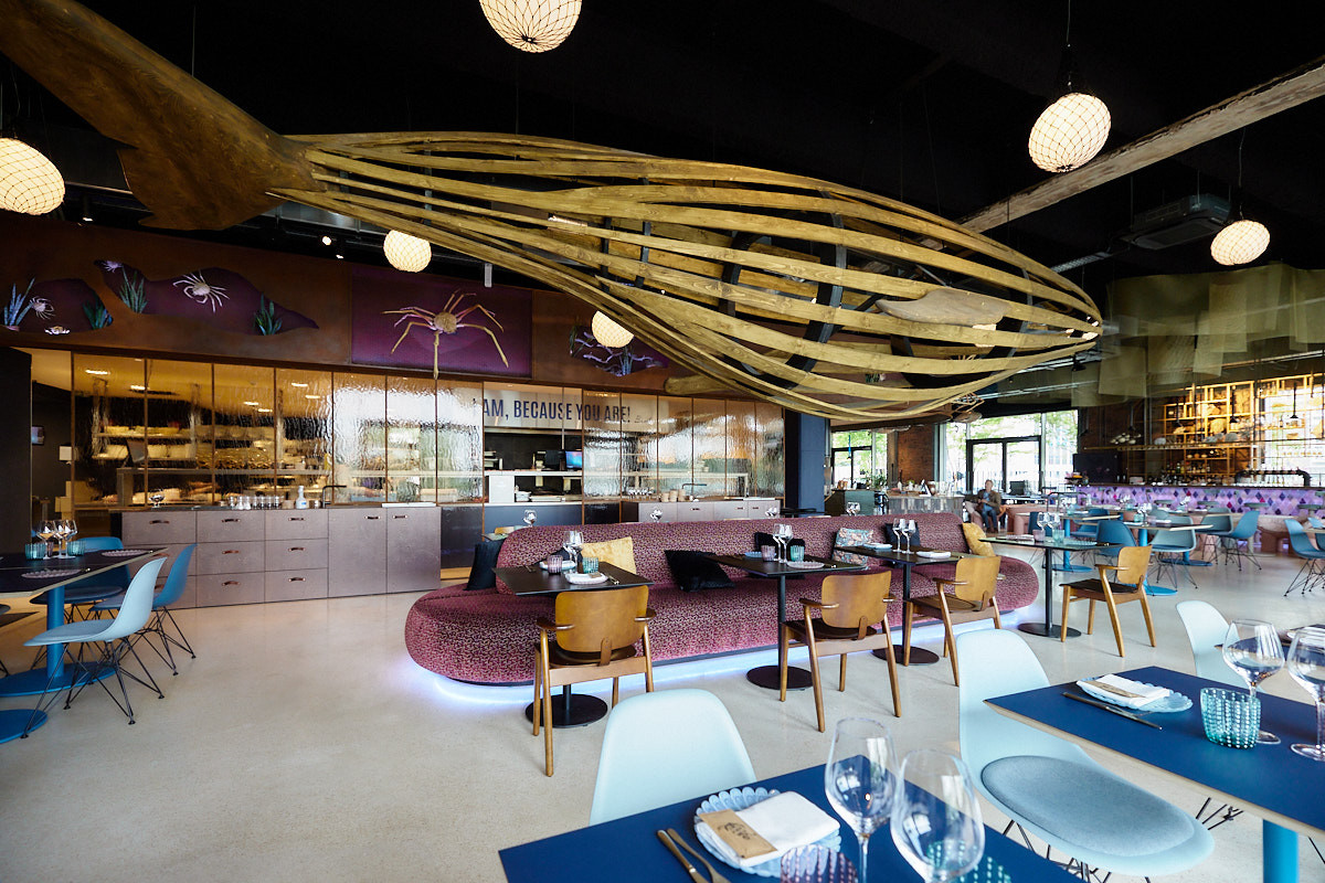 Vis Van A (Antwerpen)